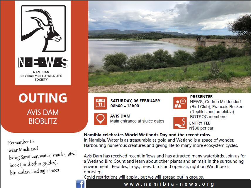 NEWS Outing - Avis Dam Bioblitz - NEWS
